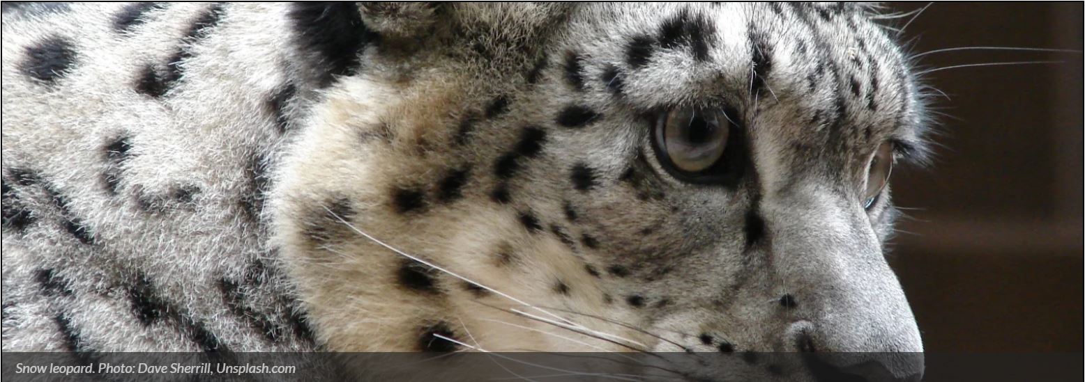 Got cheese? | MPTF Office